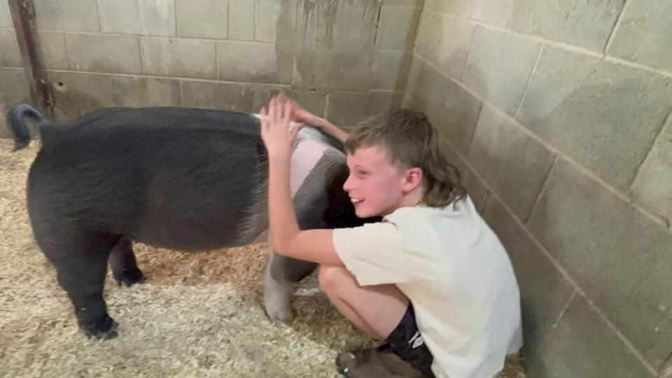 3 arrested in death of therapy pig Bootsy in Jackson County - NewsBreak