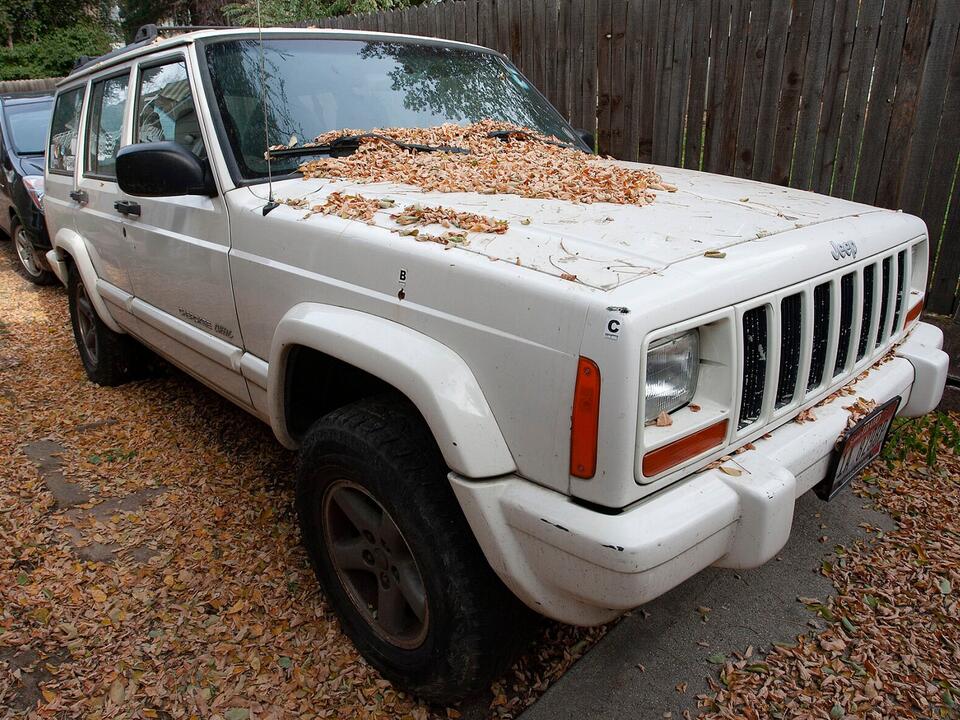 Multiple tort claims filed against Boise for police shooting damage