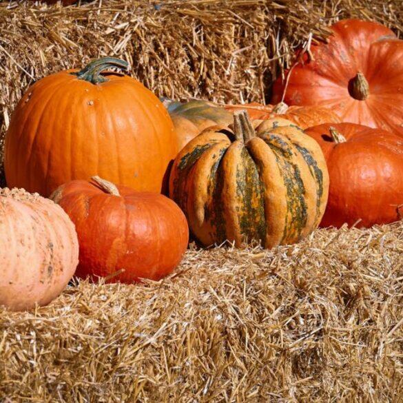 October 2025 Events in Bergen County, NJ - NewsBreak