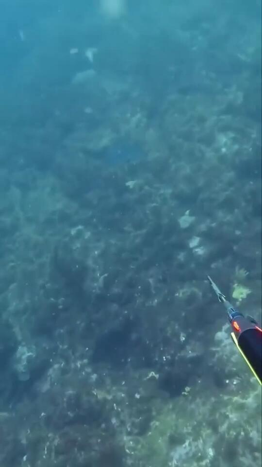 The Deep Ocean Secrets That Will Shock You (9) - NewsBreak