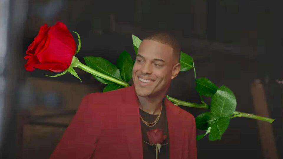 "I'll bring the sparkle" The Bachelor Grant Ellis meets Litia and 24 ...