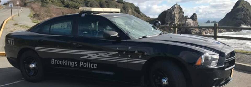 Brookings man arrested after allegedly firing shot during police ...