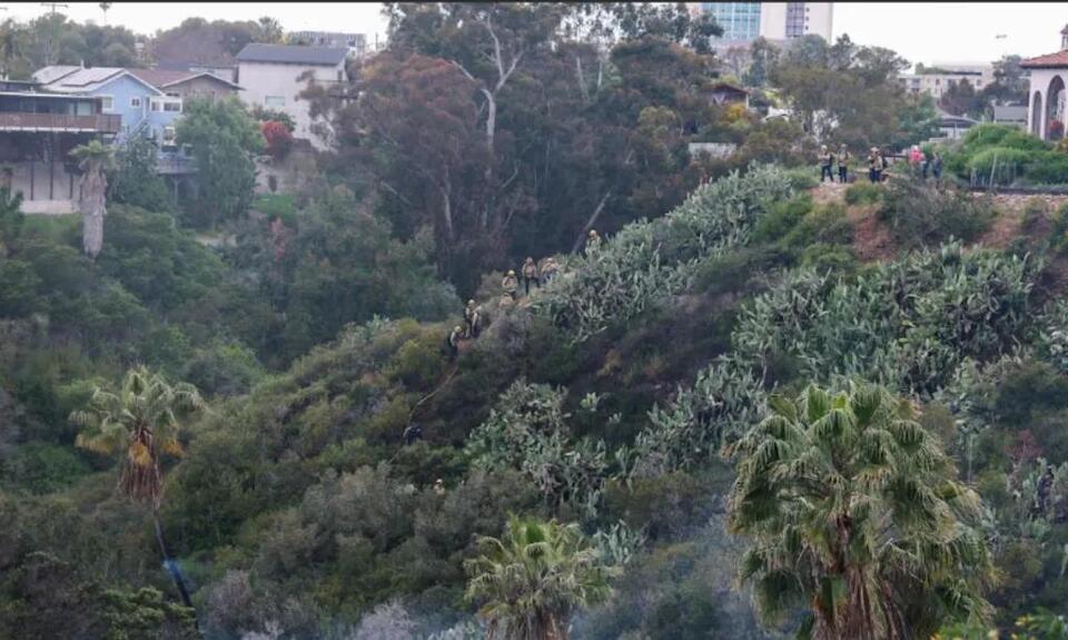 Firefighters continue to attack stubborn vegetation fire in University ...
