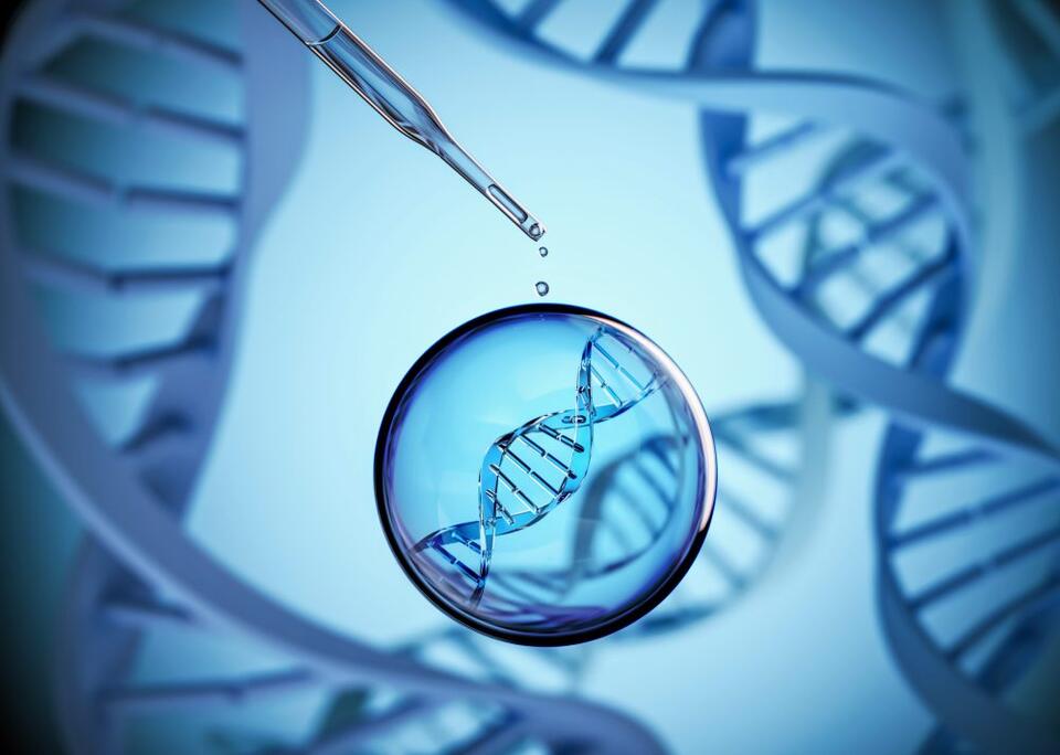 Slowing down aging, one DNA strand at a time - NewsBreak