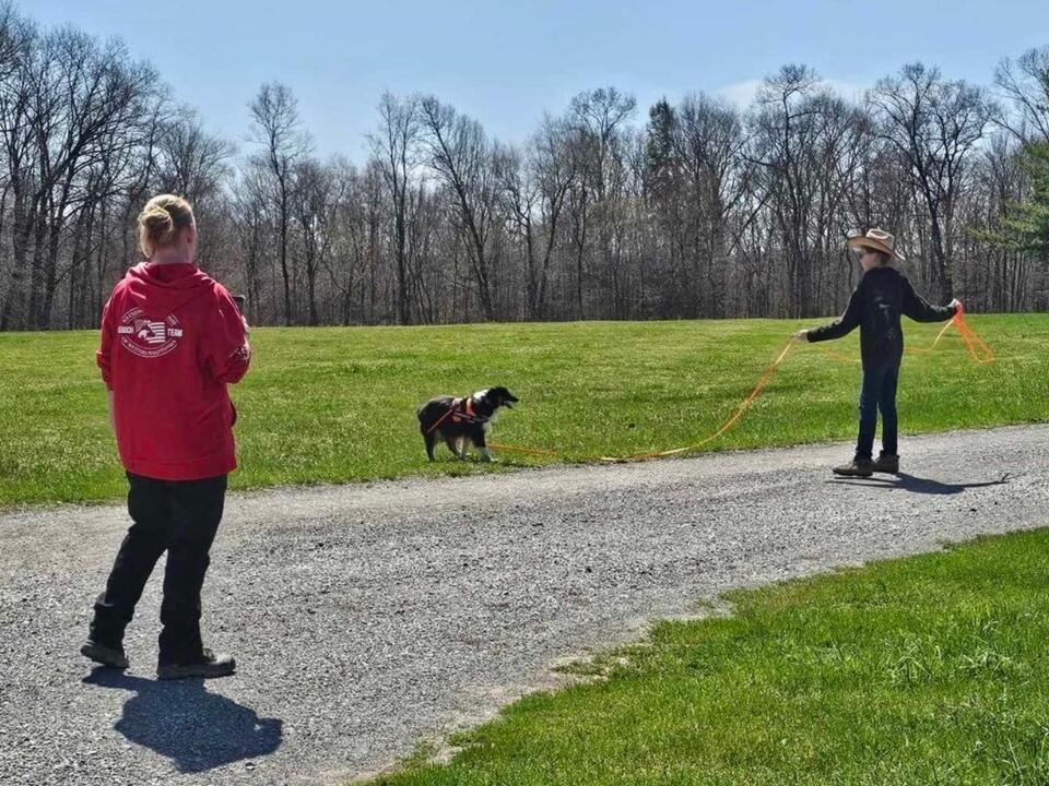 Local Boy Building Career as K9 Handler with K9 Emergency Response ...
