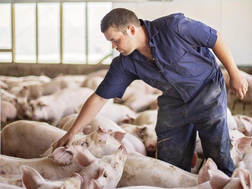 State pork organization offering grants to high schools and colleges ...