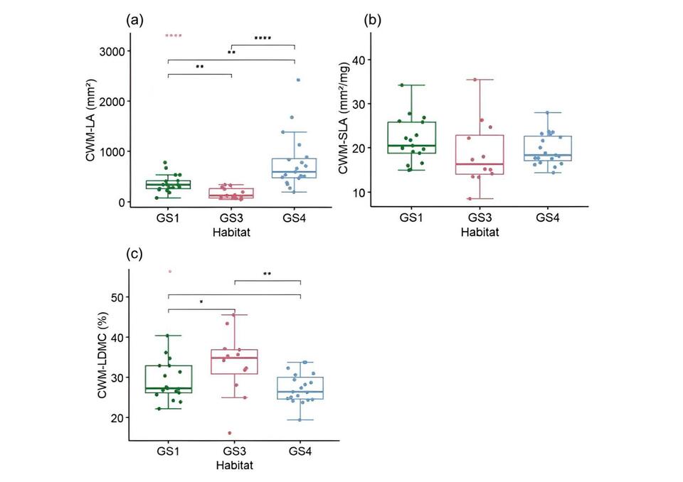 Relationships between plant functional diversity, species diversity and ...