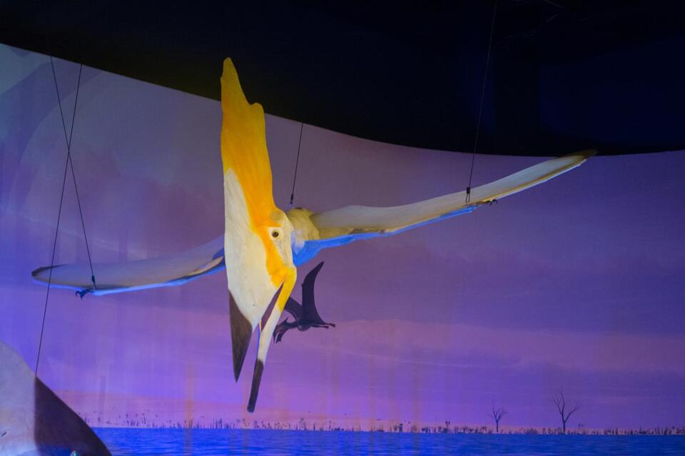 How Flight Evolved More Than Once in Dinosaurs - NewsBreak