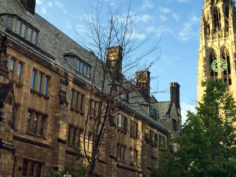 Gaza war: Jewish Yale student stabbed in eye during anti-Israel protest ...