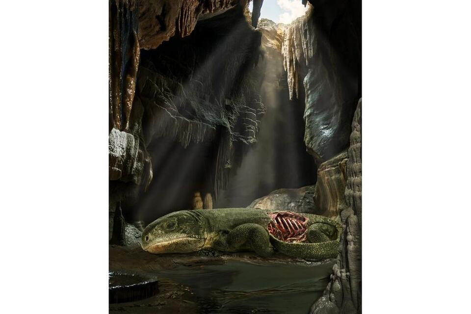 289‑Million‑Year‑Old Reptilian Mummy Sheds Light on How Amniotes ...