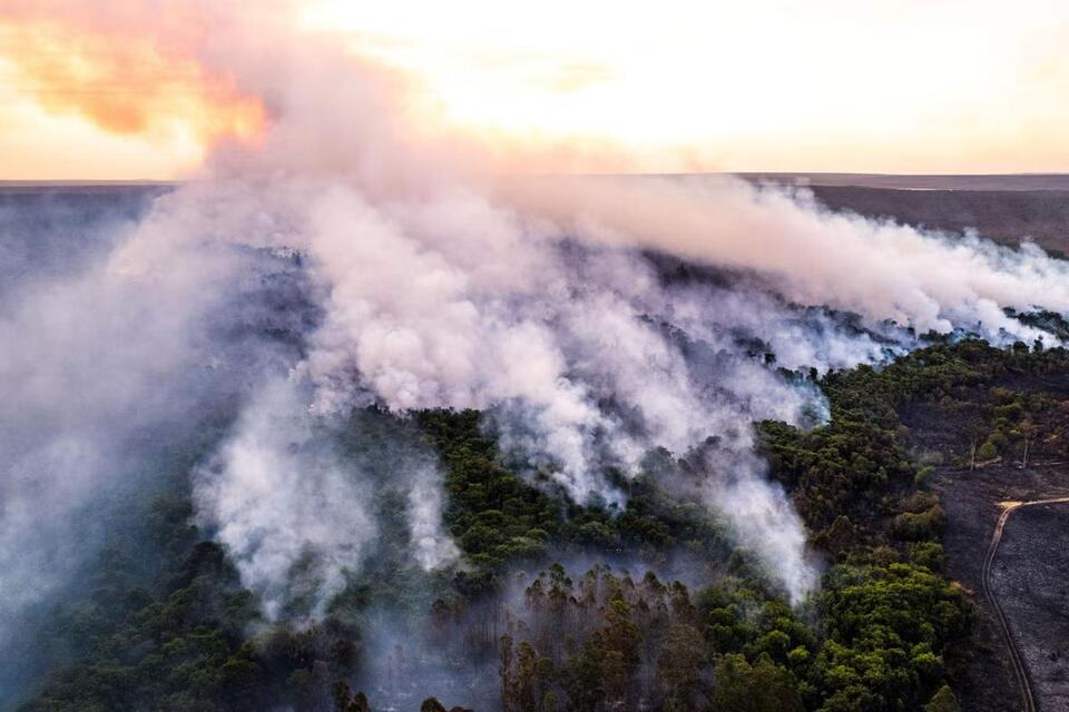 Amazon rainforest nearing irreversible tipping point partly driven by ...