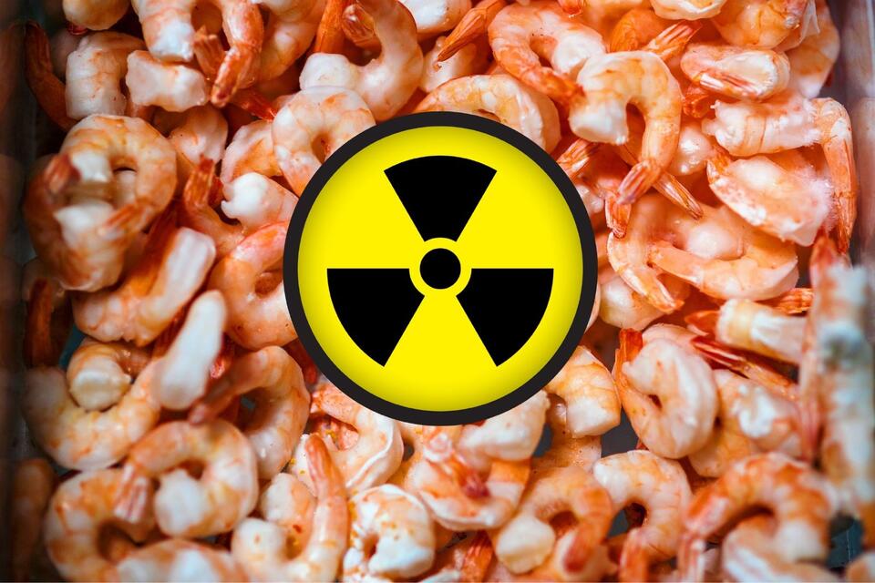 Did Radioactive Shrimp Make Its Way Into NJ? Here's What We Know ...