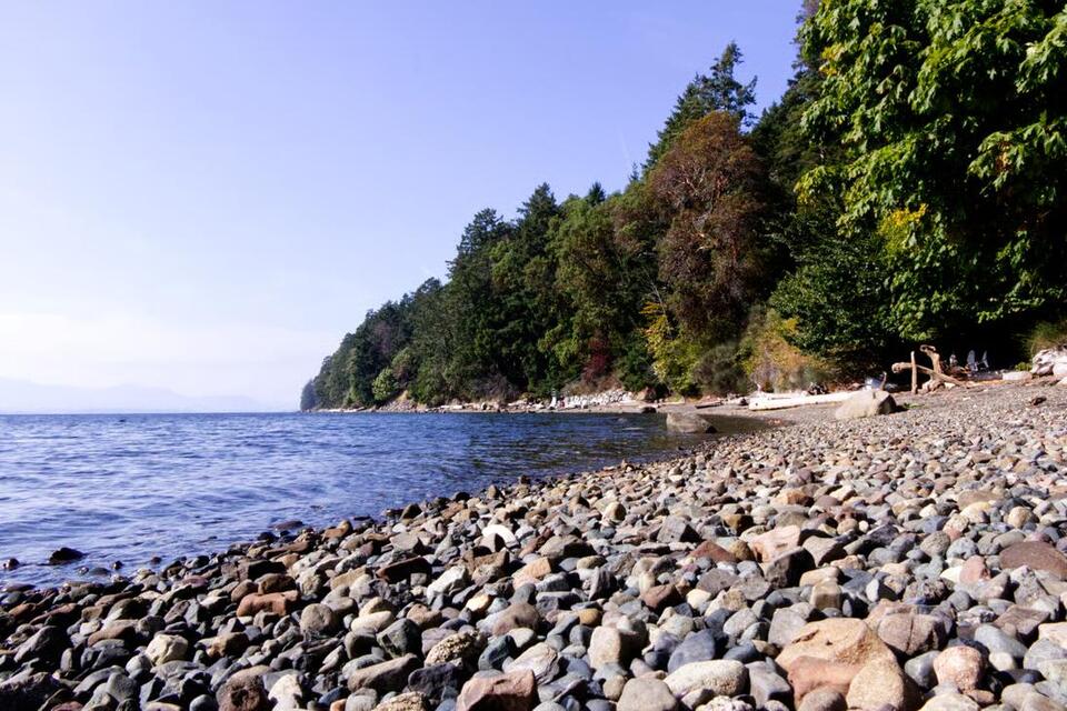 Canadian municipality argues that it can protect fish in its own way ...