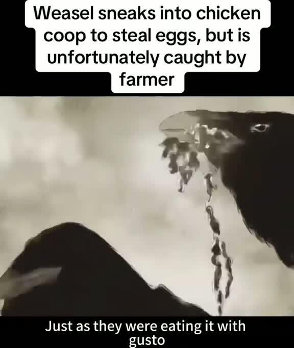 Some scenes are simply unforgettable! Follow for more movie highlights ...