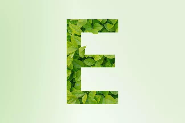 The Show Drafts Best Movies That Start With The Letter "E" - NewsBreak