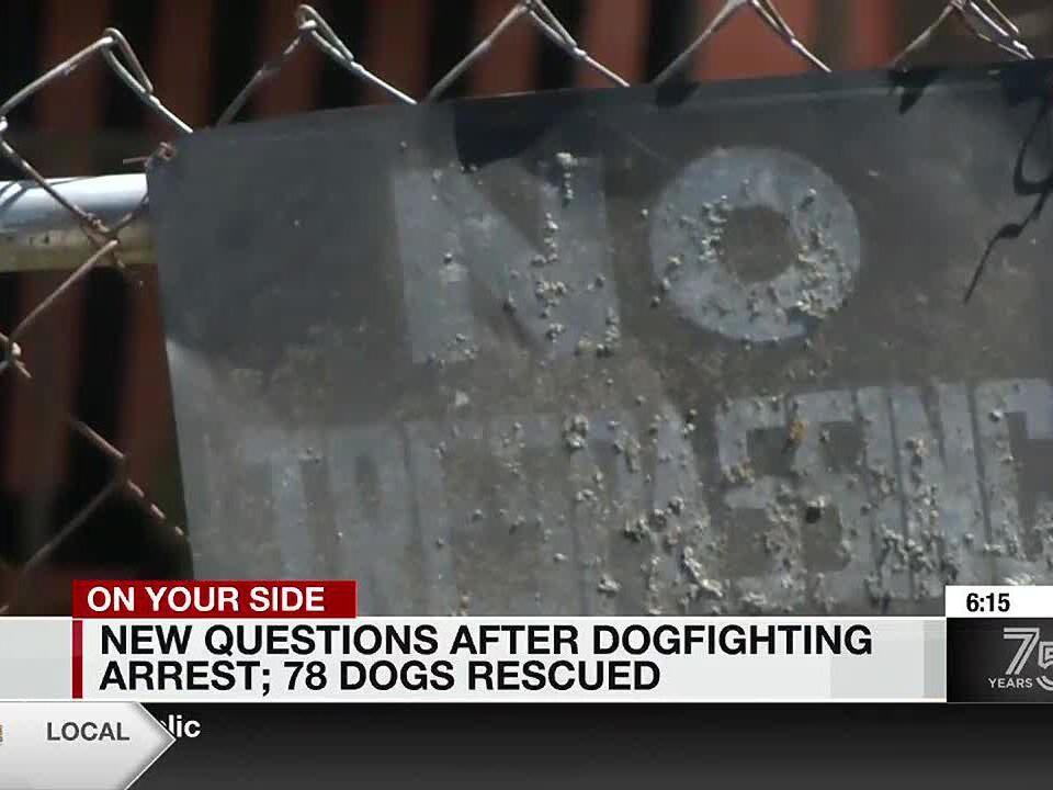 New questions after dogfighting arrest, 78 dogs rescued