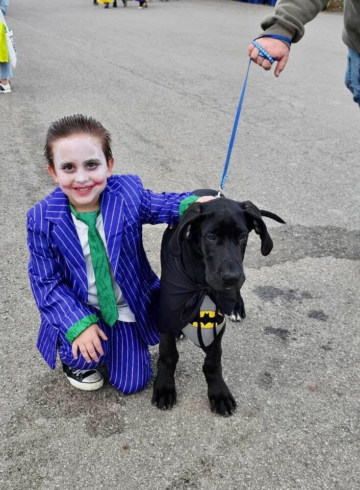 A Joker’s best friend is his Batman - NewsBreak