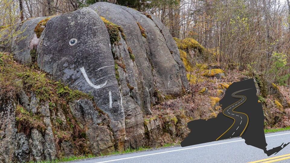 Roadside Weirdness: The Story Behind Upstate NY’s Elephant Rock - NewsBreak