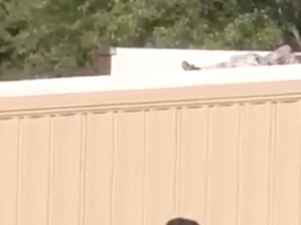 Video: Body of alleged shooter in Pres. Trump's assassination attempt ...