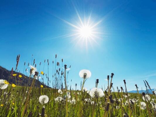 Oakdale Weather Forecast