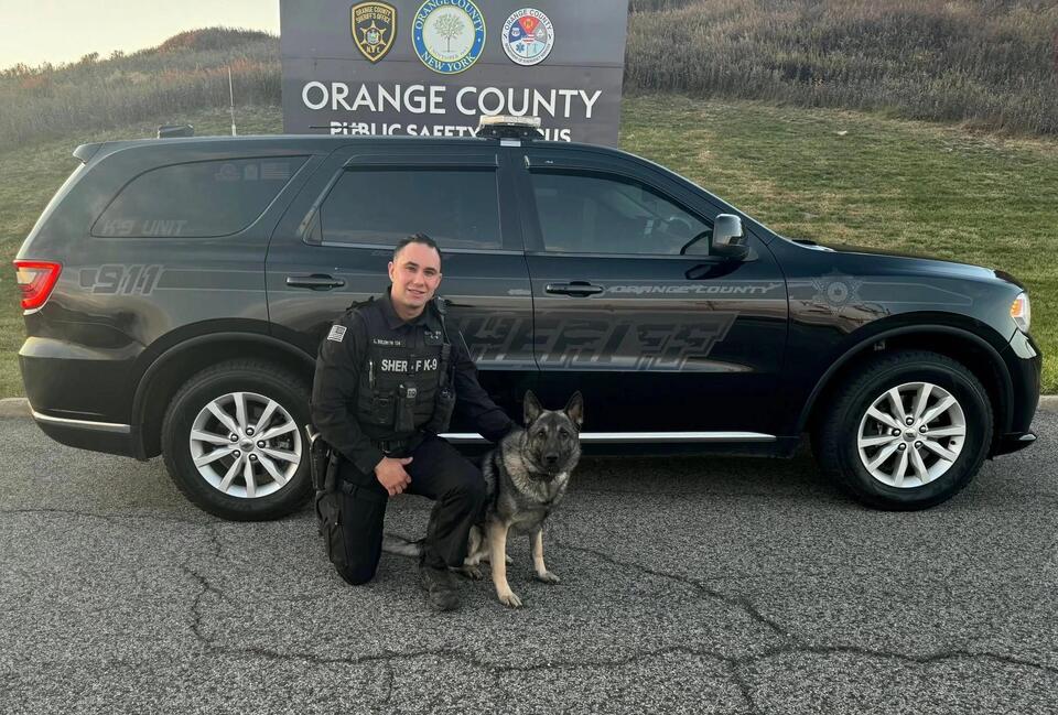 Orange County K-9 Tracks Evidence in Campbell Hall Domestic Case ...