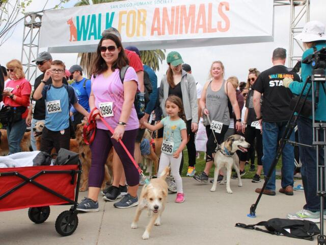 San Diego's 30th annual Walk for Animals to support overflowing shelters