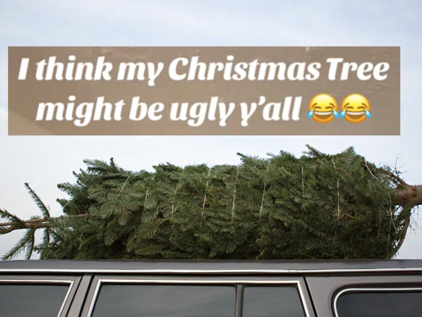 Guy Seeks Help to Fix 'Ugly' Gen Z Christmas Tree and TikTok Swoops in ...