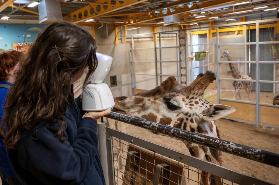 Robot helps kids with cancer visit zoo without leaving hospital - NewsBreak