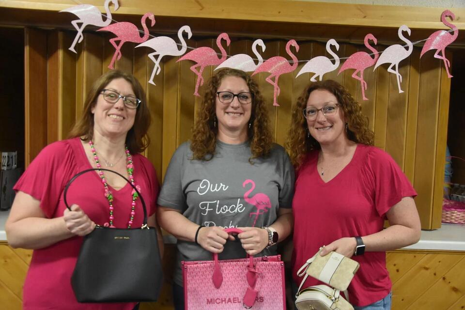 Le Center's Flamboyant Flamingo Flock rolls out donations for cancer ...