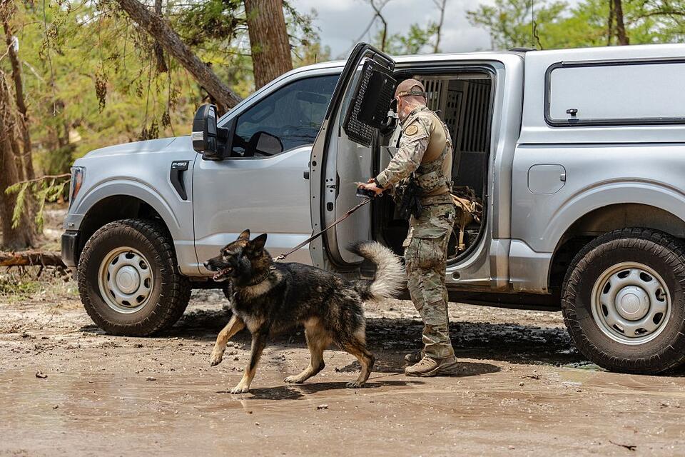 Does WA State Law Ban Dogs, Pets Riding in the Back of A Truck? Maybe ...