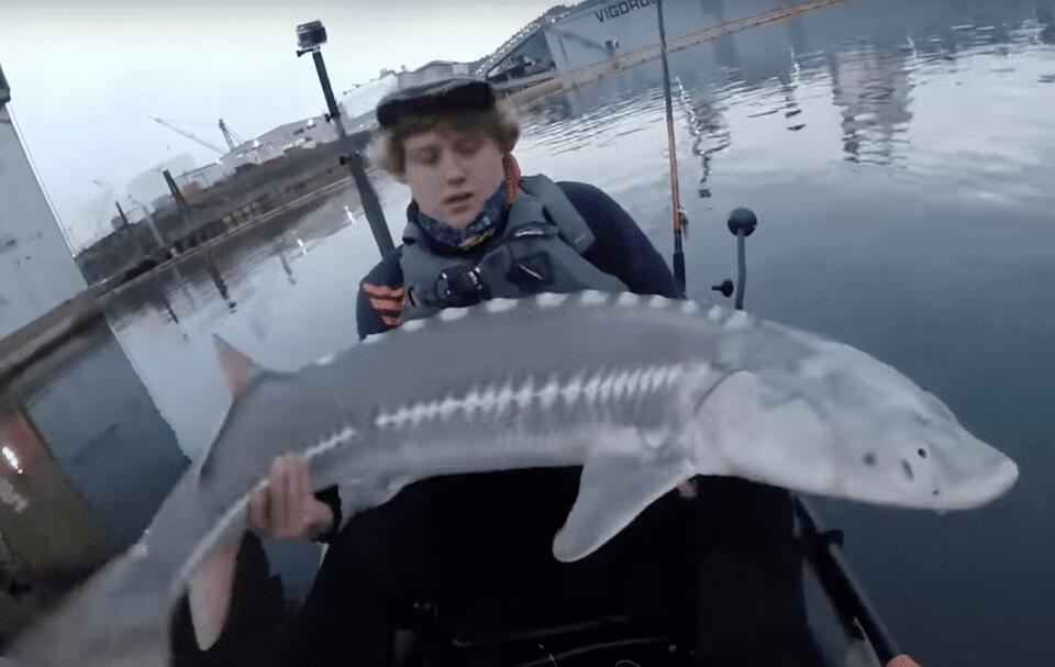 Fisherman Catches a Massive Fish With a Barbie Fishing Rod in Oregon ...