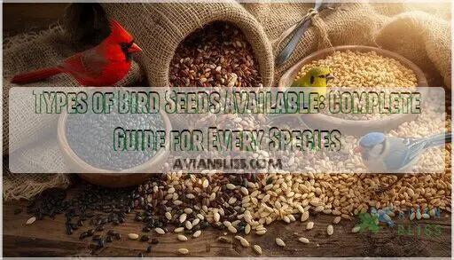 Types of Bird Seeds Available: Complete Guide for Every Species (2025 ...