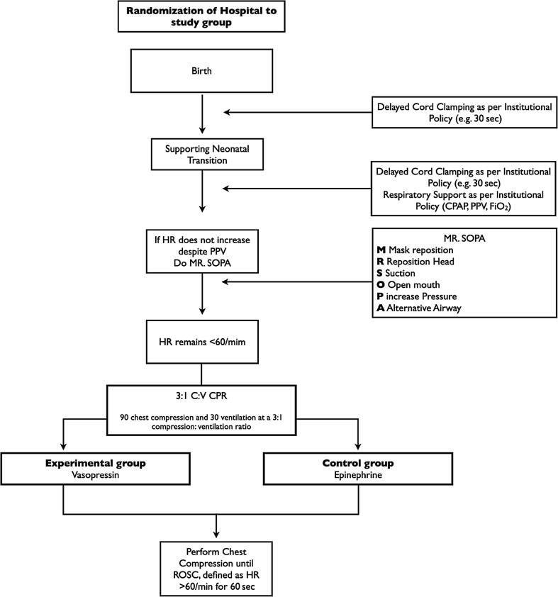 Vasopressin versus epinephrine during cardiopulmonary resuscitation of asphyxiated newborns: A ...