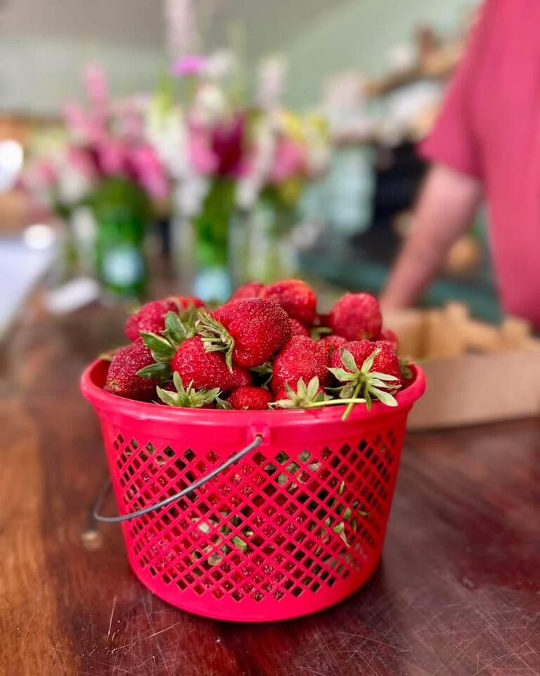 Wrenn's Farm Returns to Nash Farmers Market 2026 - NewsBreak