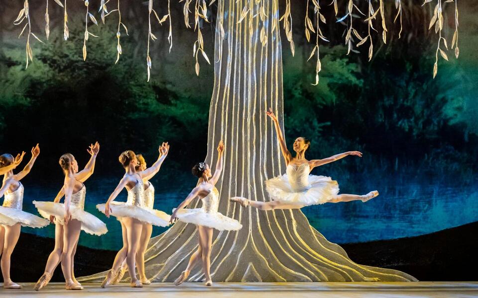 The best dance shows in London (and beyond) to book in 2026 - NewsBreak