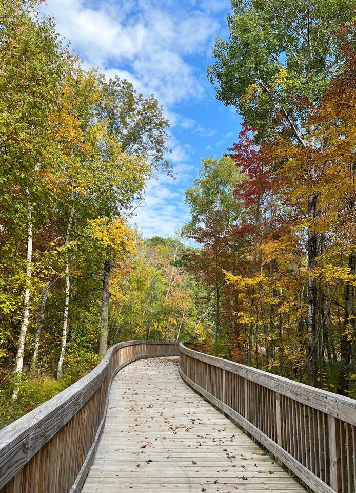 DNR offers Fall Color Finder - NewsBreak