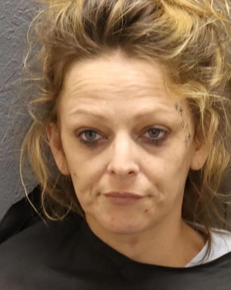 Two facing drug charges after traffic stop in Oconee County - NewsBreak
