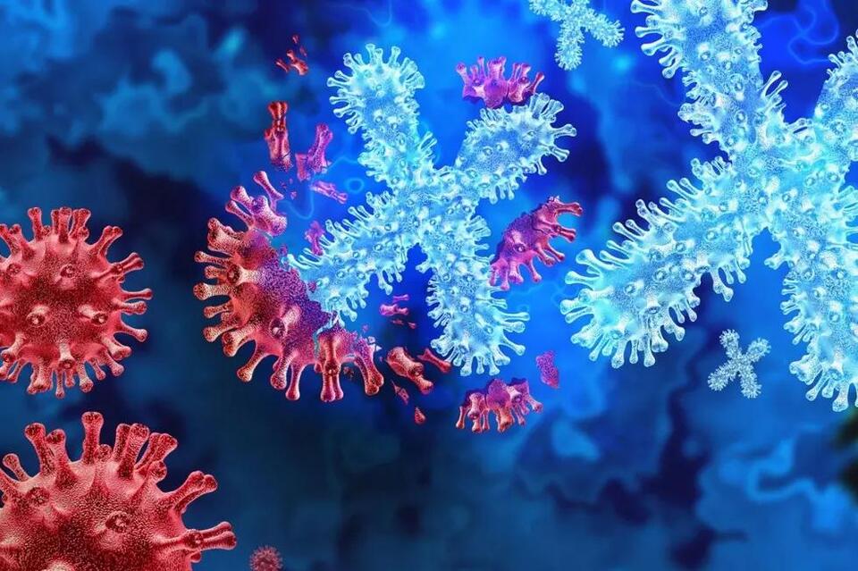 Mysterious New Disease X Is Officially Here, Potentially Airborne ...