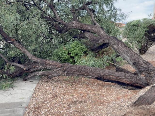 Eastside storms cause damage to some properties - NewsBreak