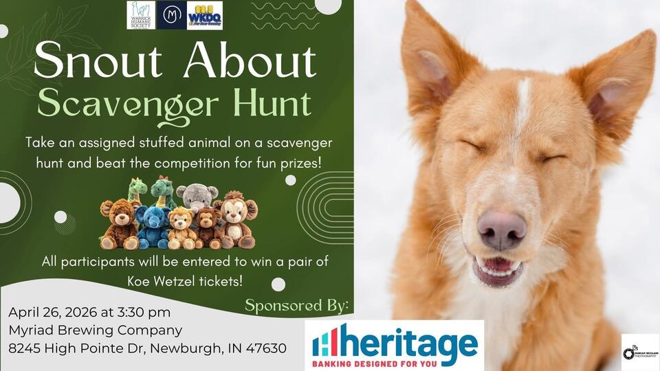 Support Warrick Humane Society At The Snout About Scavenger Hunt ...