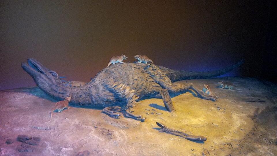 Did a Hidden Sixth Mass Extinction Event Shape Dinosaur Evolution ...