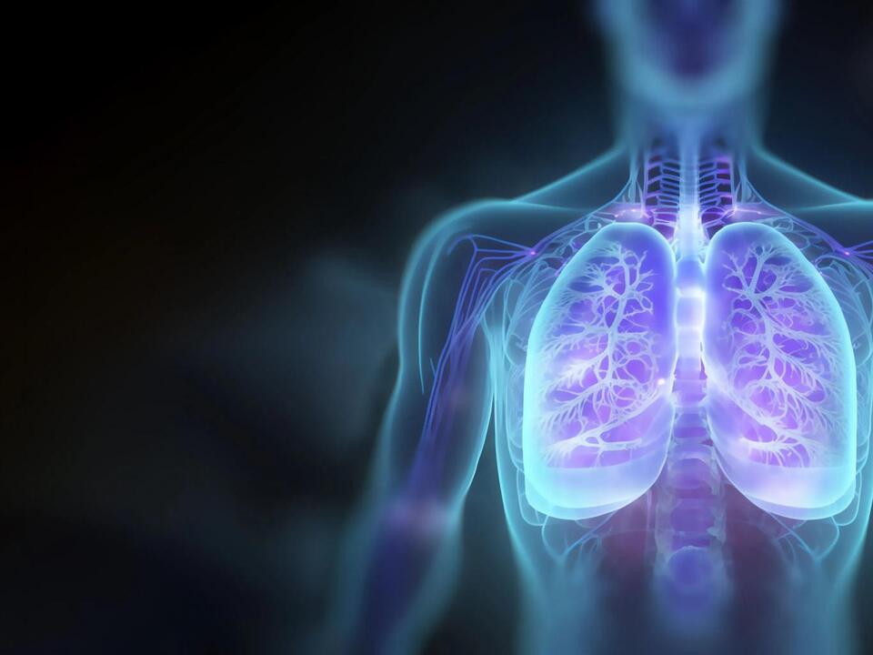 AFFINITY Study Completes Enrollment for Novel Aliya PEF System in ...