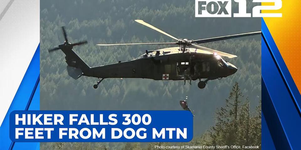 63-year-old hiker falls 300 feet from Dog Mountain Trail - NewsBreak