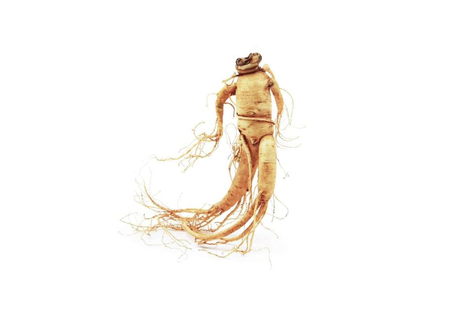 Ginseng Prices in 2024: Cost Per Pound and What to Expect When Buying ...