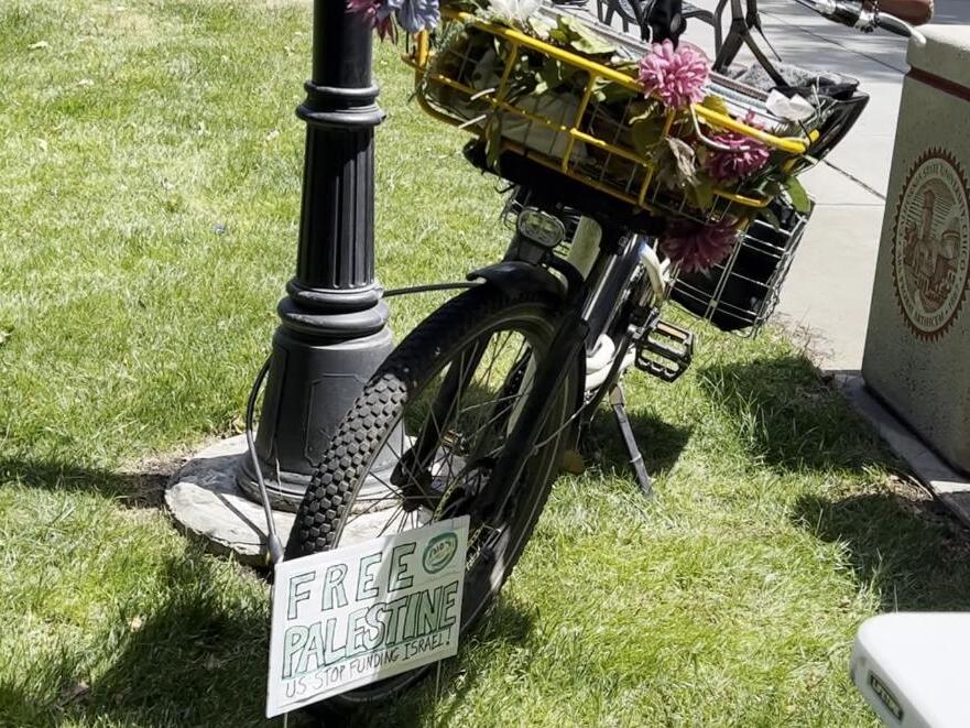 Pro-Palestine protests reach Chico State