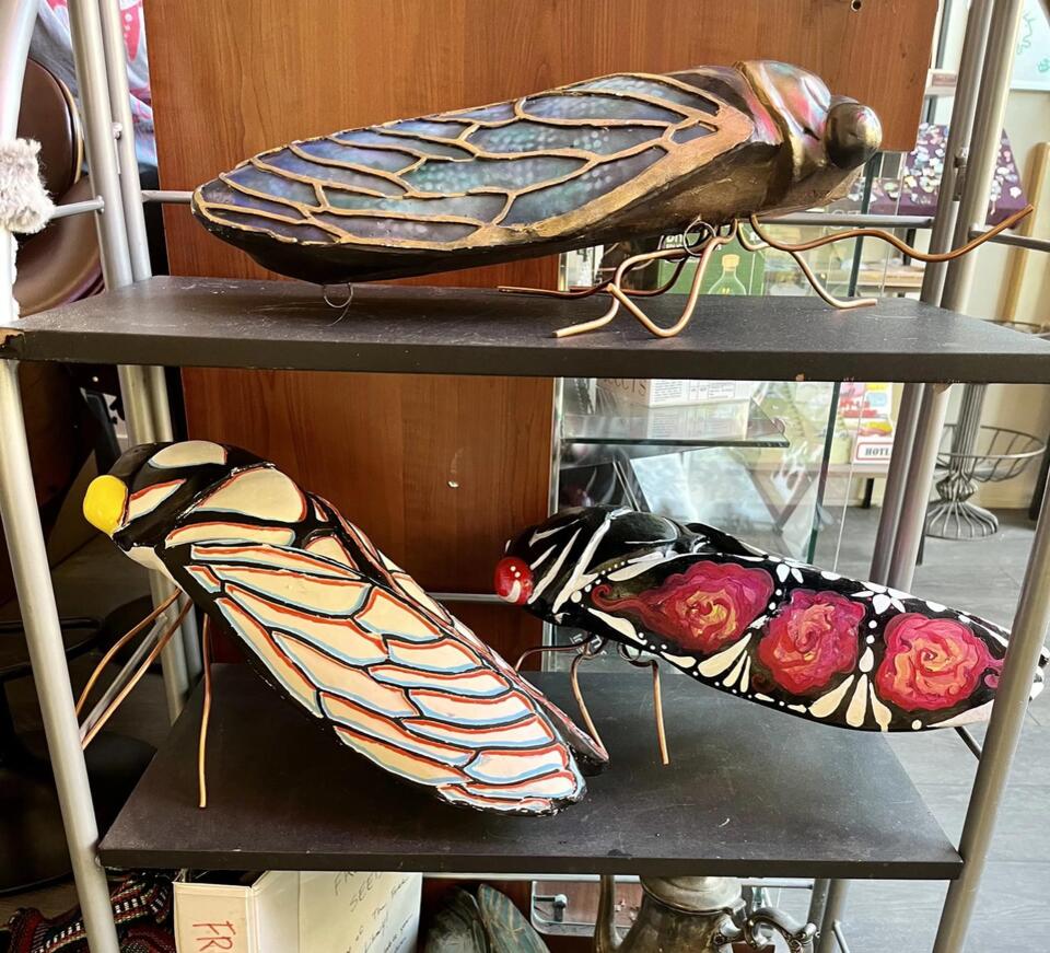 Emerging this spring across Chicago: giant cicada statues - NewsBreak