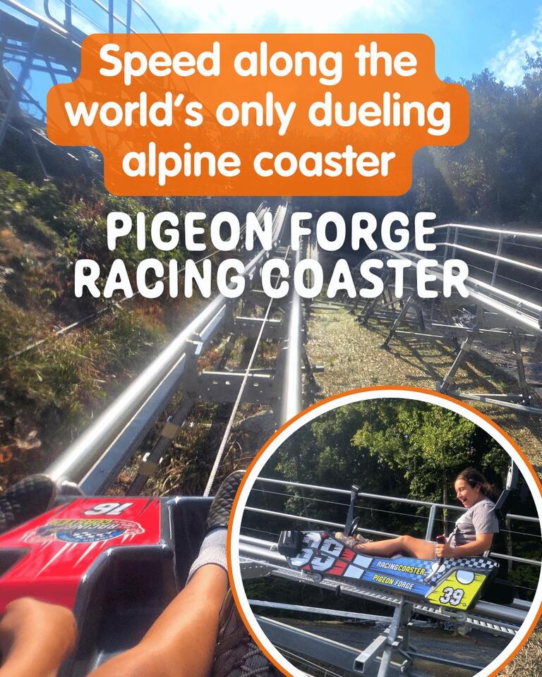 Speed, Views, and Family Rivalries Await on the Pigeon Forge Racing ...