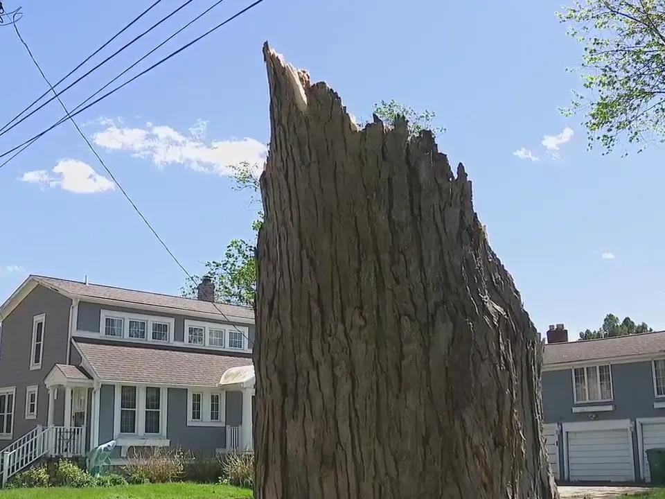 Severe weather wreaks havoc in Macomb County