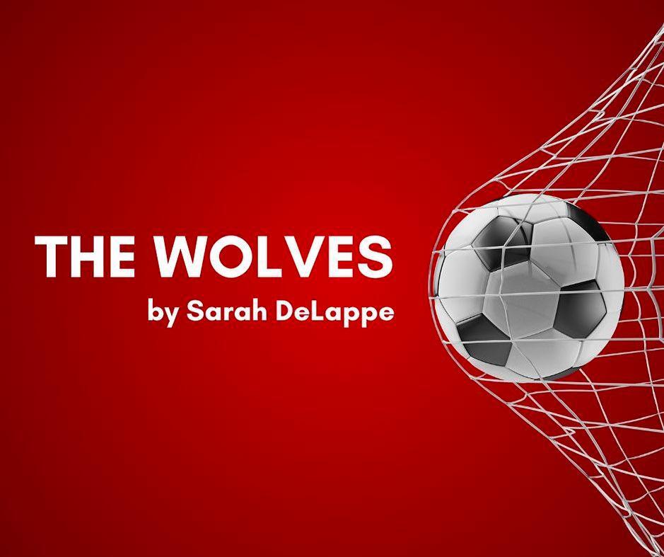 More Local Theatre: The Wolves at Hovey Players in Waltham, Nov 3-18 ...