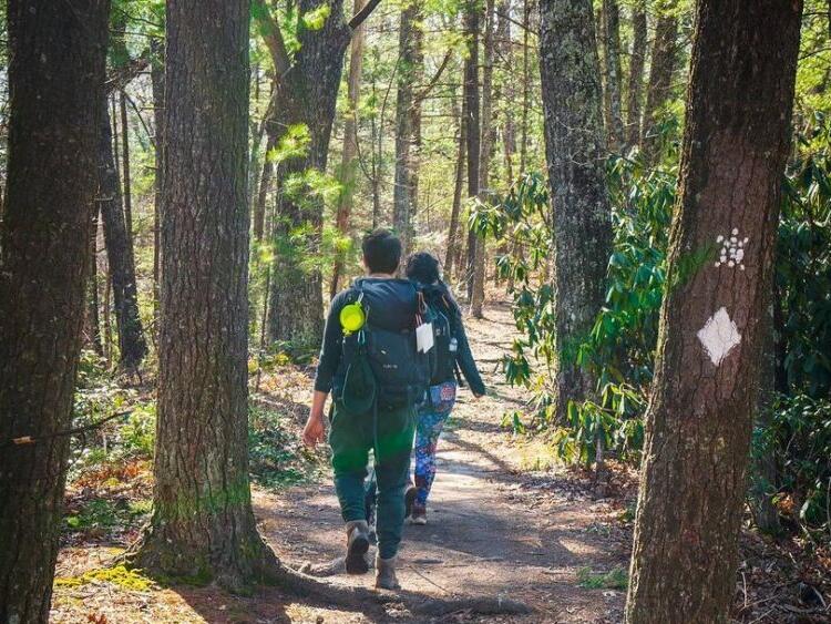 Hiking and nature walk guide for Lexington